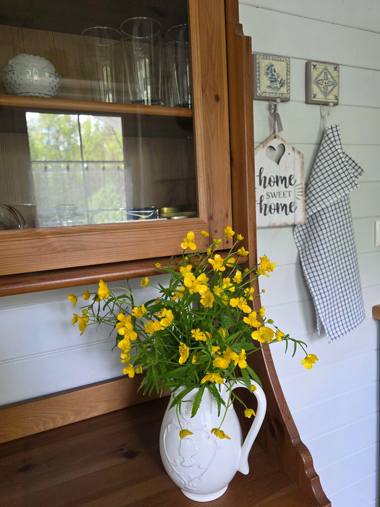 Konuk evi Белый лес, Moskova ve Moskovskaya oblastı, foto