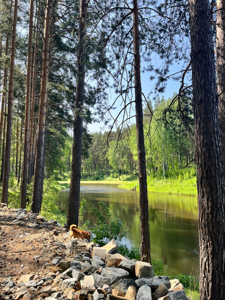 Dağ zirvesi Скала, исполняющая желания, Sverdlovskaya oblastı, foto