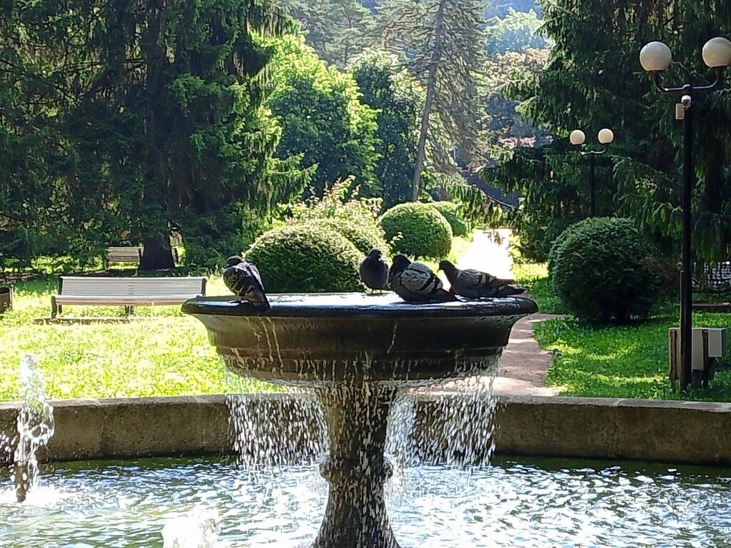 Çeşme Колонка питьевого фонтана Нептун, Kislovodsk, foto