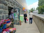 Семена (ulitsa Shaumyana No:1), bahçecilik mağazaları  Stavropol'dan