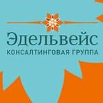 КГ Эдельвейс (Baturina Street No:30), muhasebeciler  Vladimir'den
