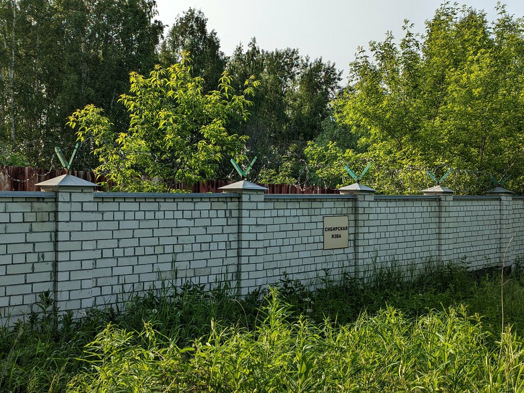 Geri dönüşüm merkezleri Сибиреязвенный скотомогильник № 79, Yekaterinburg, foto