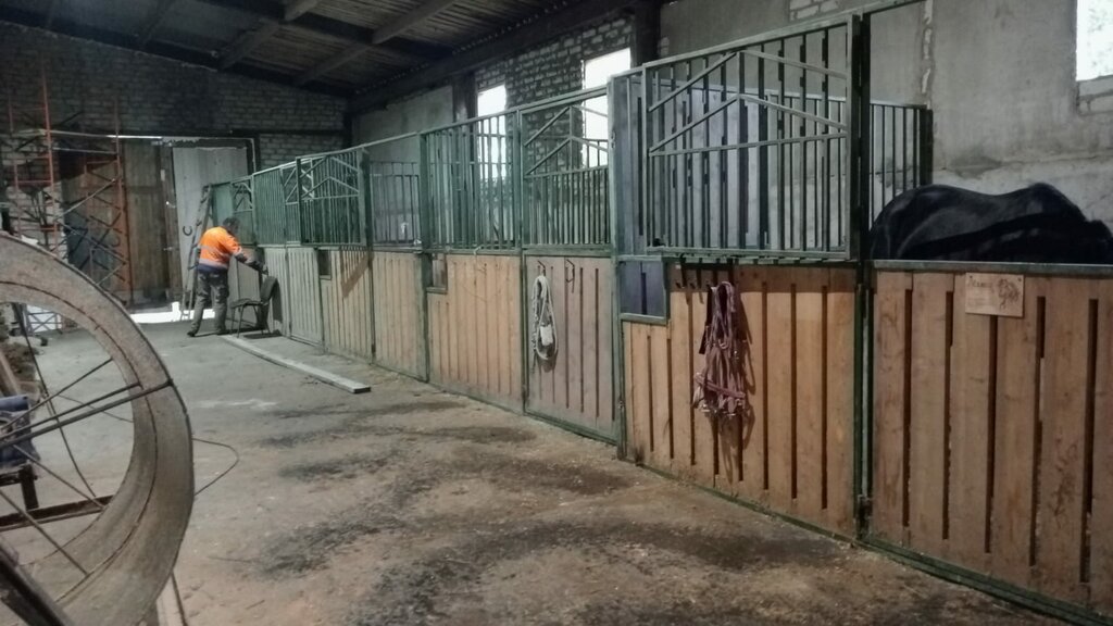At ve binicilik kulüpleri Квин Хорс, Moskova ve Moskovskaya oblastı, foto