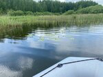 Рыболовная база (Tver Region, Zubtsovskiy munitsipalny okrug), balık çiftçiliği ve toptancıları  Tverskaya oblastından