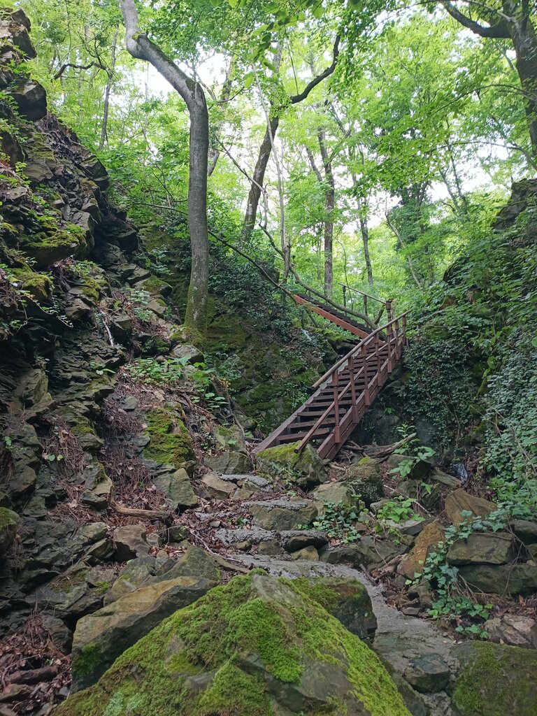 Seyir terası Смотровая площадка, Krasnodarski krayı, foto
