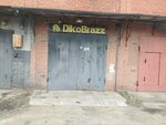 DikoBrazz (1-ya Sovetskaya ulitsa No:4/4, Omsk), tuning  Omsk'tan