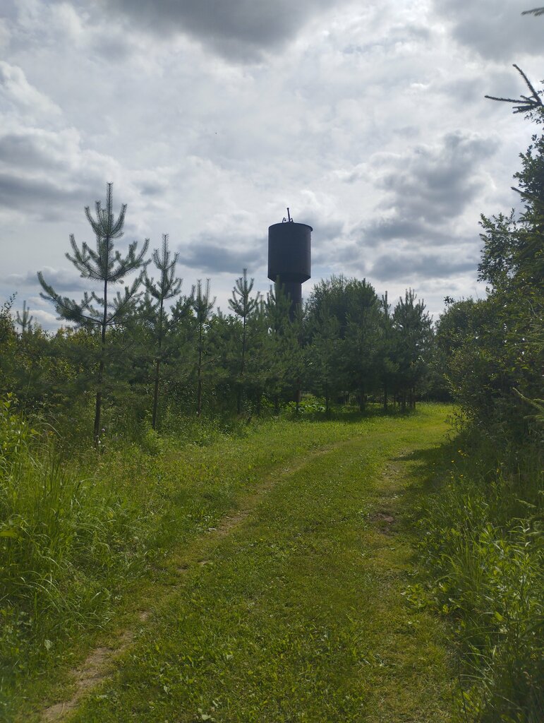 Mühendislik altyapısı Водонапорная башня, Nijegorodskaya oblastı, foto