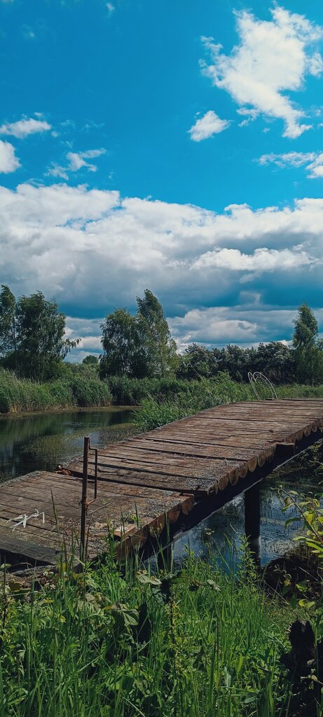 Avcılar ve balıkçılar Комплекс отдыха Ярославна, рыбалка, Yaroslavskaya oblastı, foto