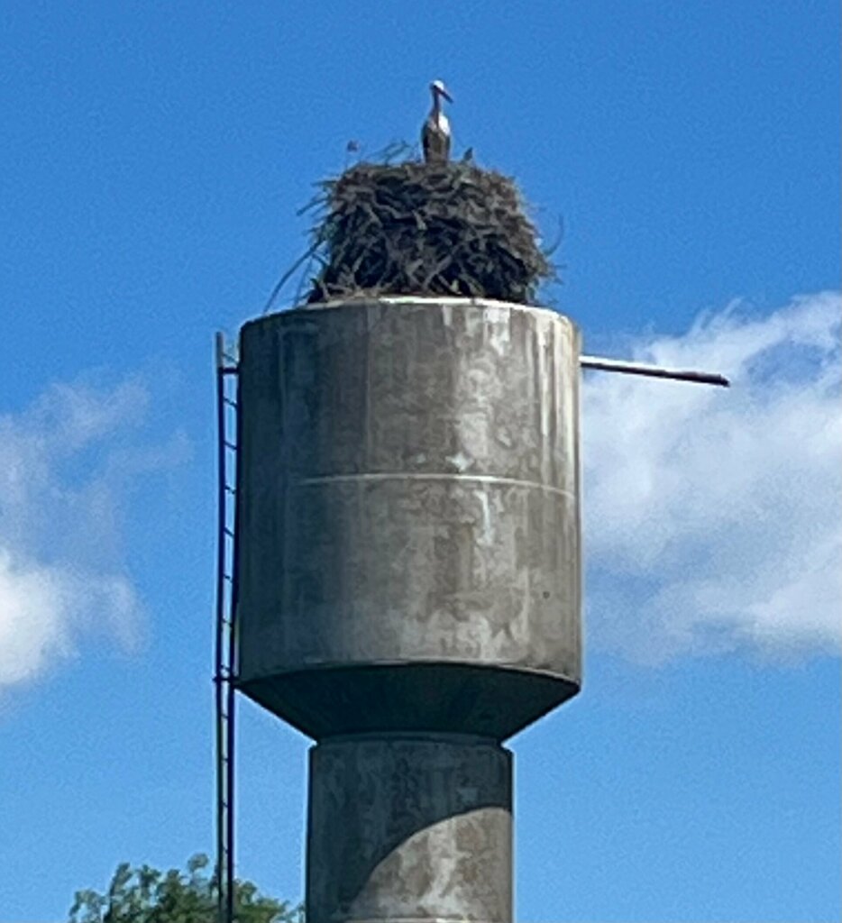 Giriş işareti Деревня Усты, Kalujskaya oblastı, foto