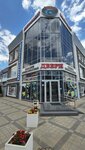 David Anikin Studio (Rossiyskaya Street No:388), web tasarım hizmetleri  Krasnodar'dan