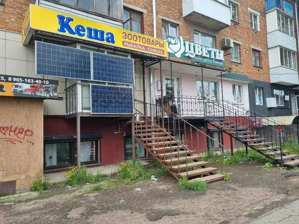 Çiçekçiler Tsvety, Smolensk, foto