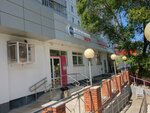 Линда (Fatykha Amirkhana Street No:41), petshop  Kazan'dan