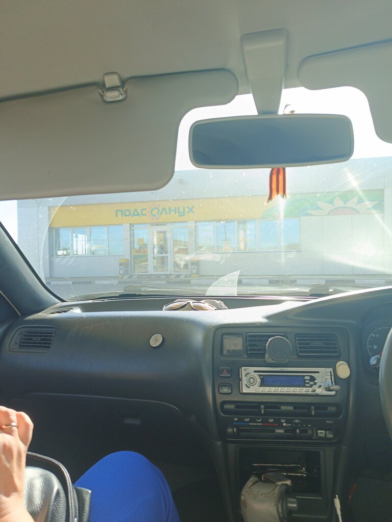 Benzin istasyonu Rosneft, Cherepanovo, foto