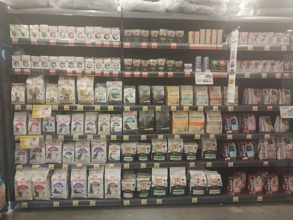 Petshop Lenta Zoo, Astrahan, foto