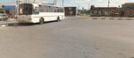 Dobroe Bus Station (Lipetsk Region, selo Dobroye, Sovetskiy pereulok), toplu taşıma durağı  Lipetskaya oblastından