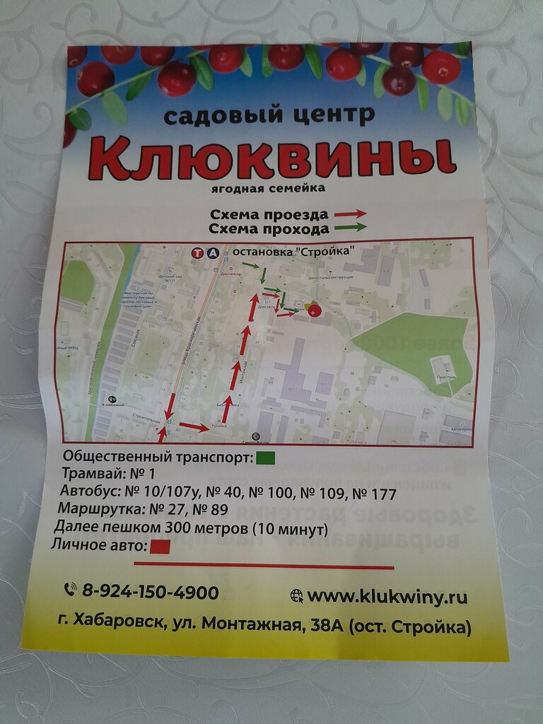 Sera ve bahçe ürünleri Клюквины, Habarovsk, foto