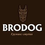 BroDog (ulitsa Geroyev-Razvedchikov No:6с2), evcil hayvan kuaförleri  Krasnodar'dan
