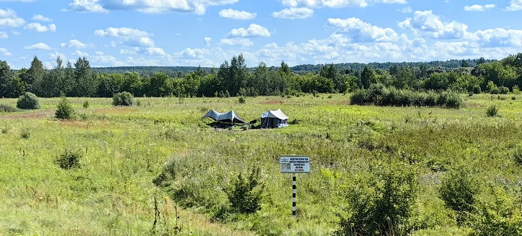 Arkeolojik sit alanı Пойменная часть поселения Гнёздово, Smolenskaya oblastı, foto