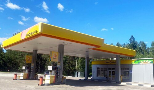 Benzin istasyonu Rosneft', Penzenskaya oblastı, foto