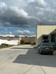 Albion (ulitsa Energetikov No:12, posyolok gorodskogo tipa Tumanny), market  Murmanskaya oblastından