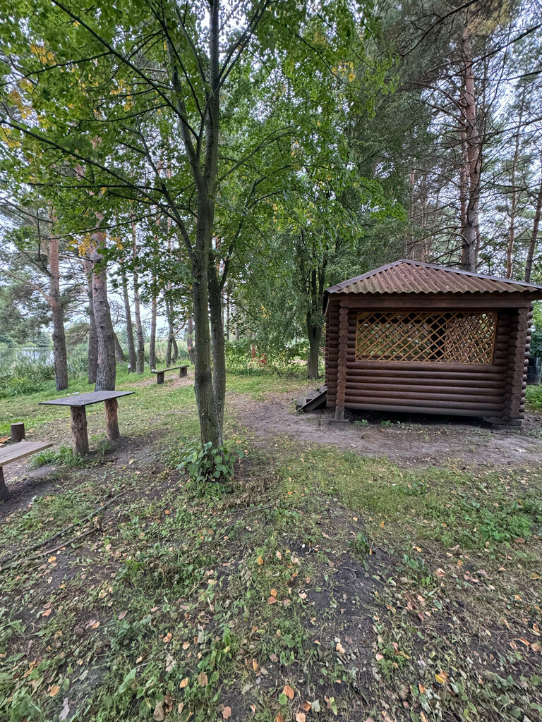 Plaj Пляж, Orlovskaya oblastı, foto