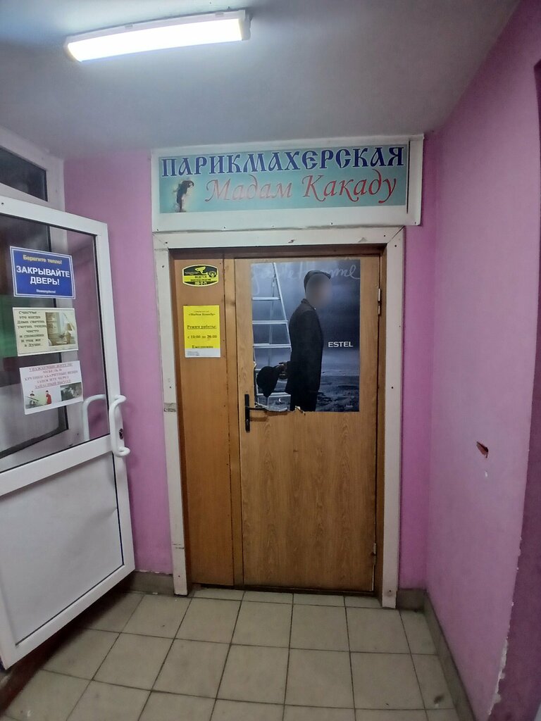 Kuaförler Madam Kakadu, Krasnoyarsk, foto