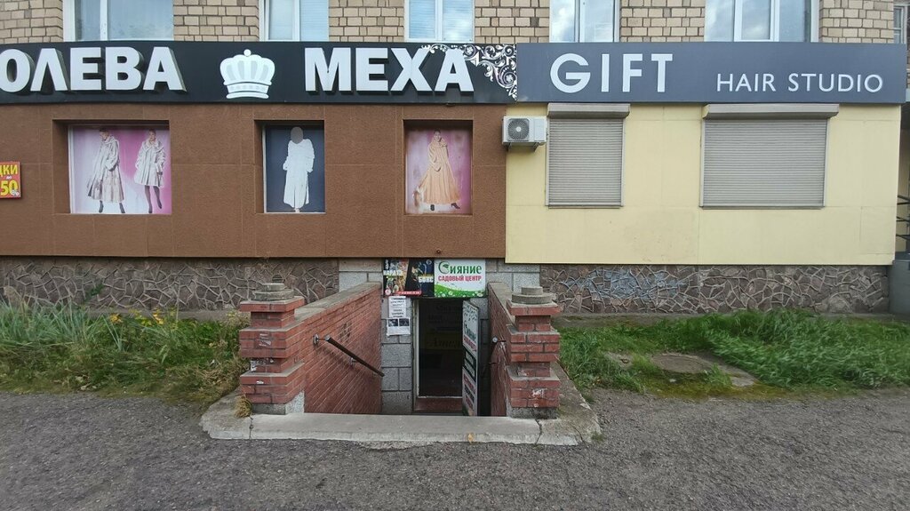 Spor kulüpleri Федерация Киокушин каратэ, Krasnoyarsk, foto