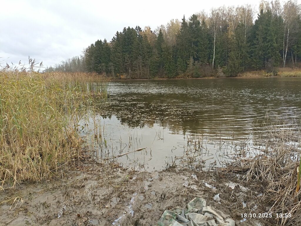 Plaj Beach, Moskova ve Moskovskaya oblastı, foto