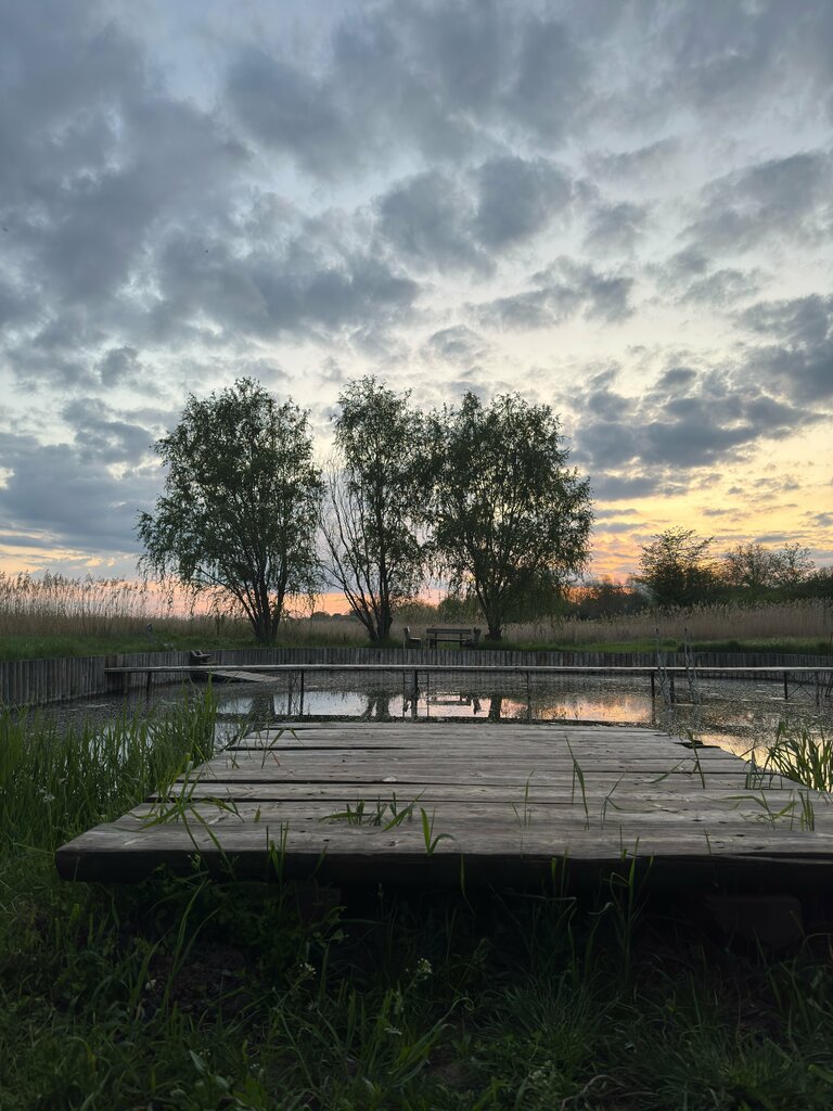 Pınar, çay Spring, stream, Krasnodarski krayı, foto