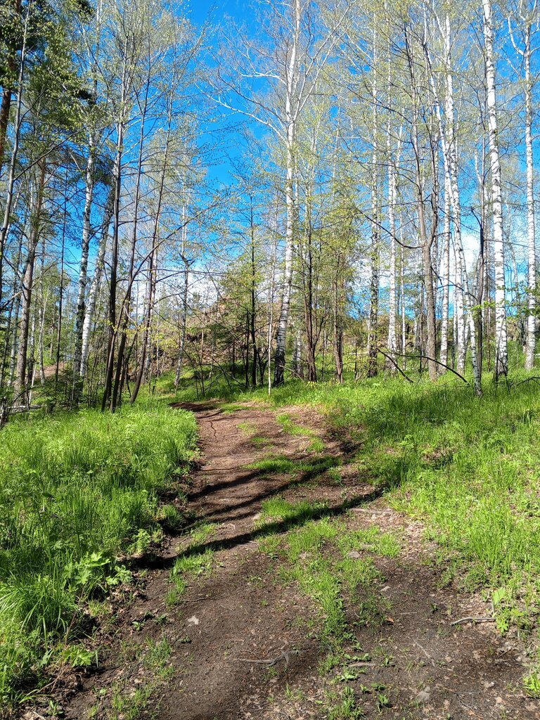 Dağ zirvesi Гора Целовальникова, Sverdlovskaya oblastı, foto
