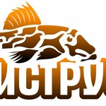 Ancistrus (MKAD, 14th kilometre No:23), akvaryumlar  Moskova'dan