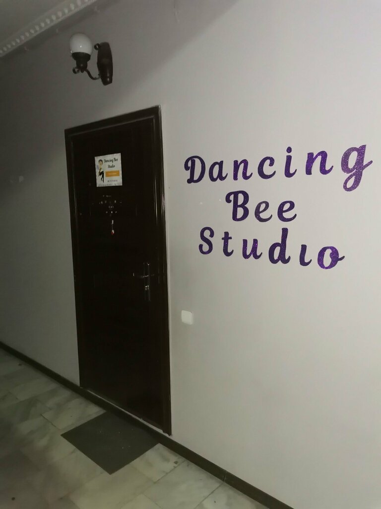 Dans okulları Dancing Bee Studio, Kişinev, foto