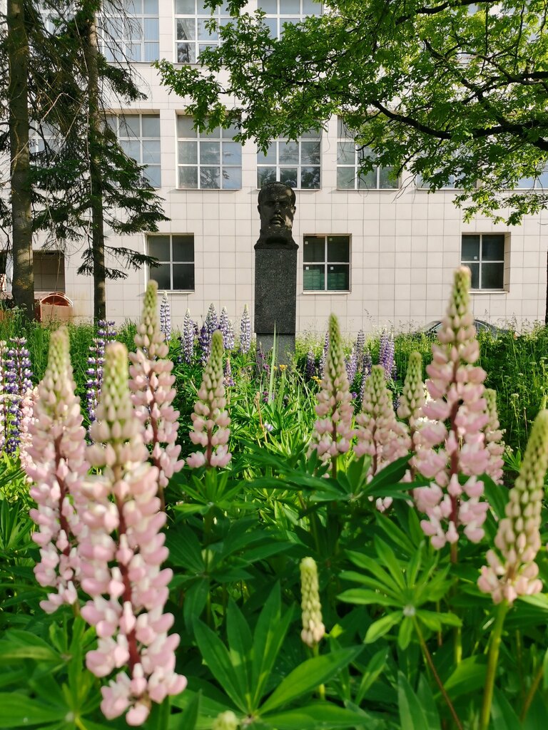 Anıt, heykel Николай Петрович Горбунов, Krasnoye Selo, foto