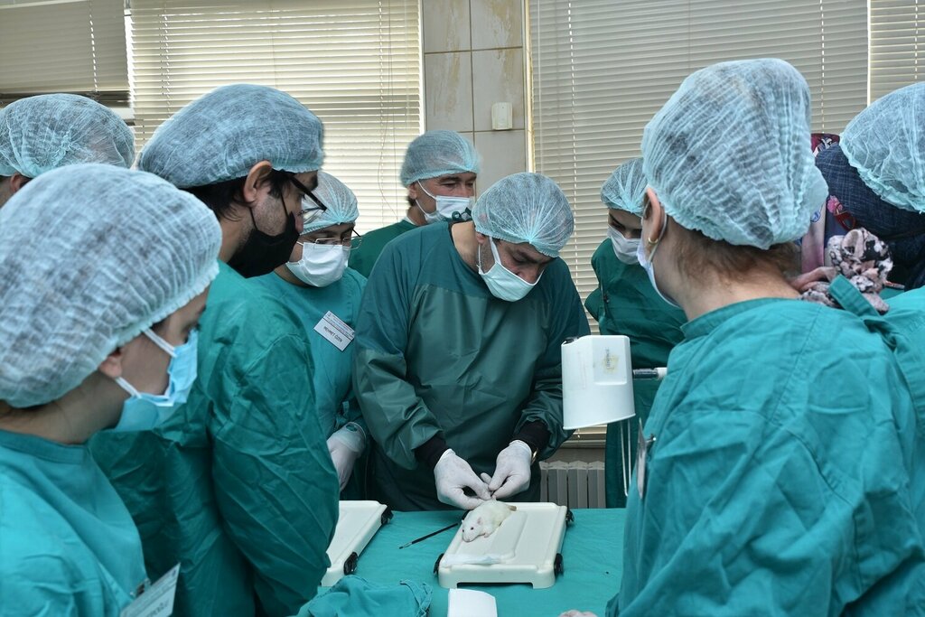 Hastaneler Ondokuz Mayıs Üniversitesi Deney Hayvanları Uygulama ve Araştırma Merkezi, Atakum, foto