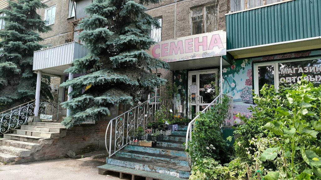 Tohum satan yerler Raysky sad, Çeliabinsk, foto