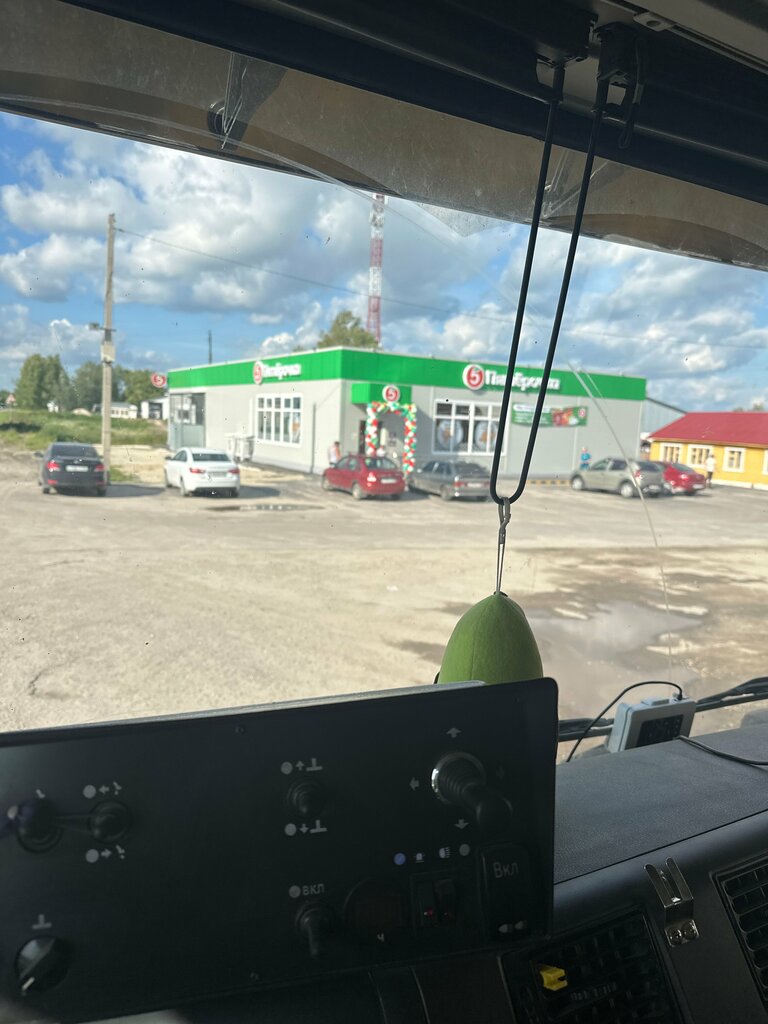 Süpermarket Pyatyorochka, Riazanskaya oblastı, foto