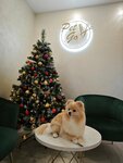 Pet go (Prazhskiy bulvar No:1), evcil hayvan kuaförleri  Guryevsk'ten