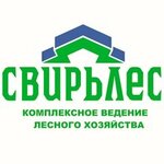 СвирьЛес (ulitsa Energetikov No:13), kerestecilik, ağaç satışı  Lodeynoe Pole'den