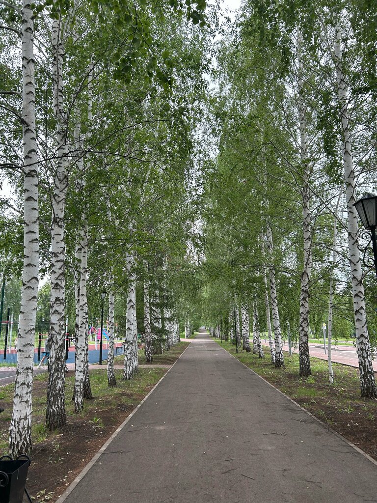 Kültür ve eğlence parkları Парк культуры и отдыха, Başkurdistan, foto