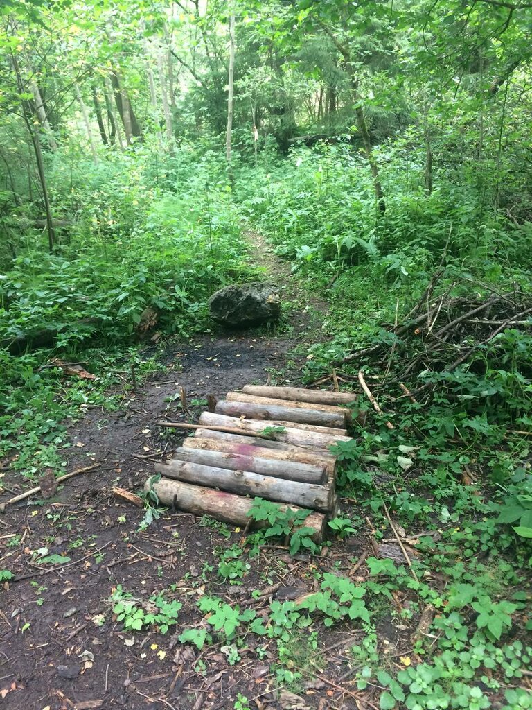 Piknik alanı Брёвна и камень, Moskova ve Moskovskaya oblastı, foto