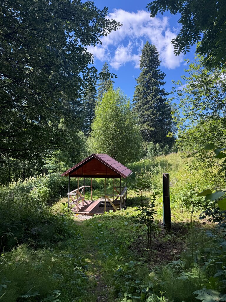 Pınar, çay Spring, stream, Perm, foto