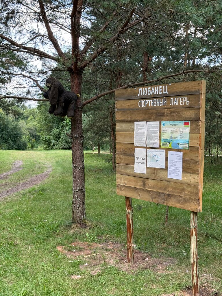 Kamp alanları Любанец, Minskaya oblastı, foto