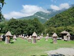 Три медведя (Autonomous Republic of Abkhazia, Gagrskiy munitsipalitet), bal ve arıcılık firmaları  Gagra Bölgesi'nden