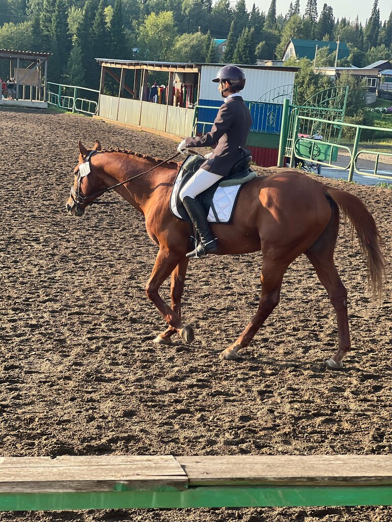 Hipodromlar Ипподром, Beriozovski, foto