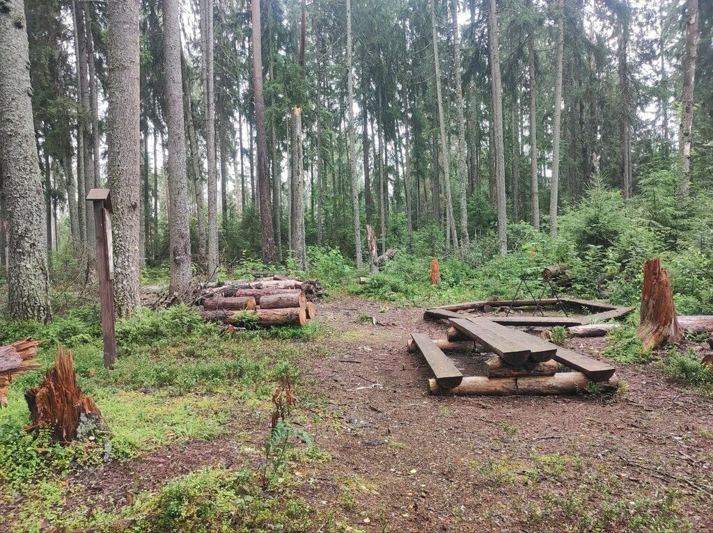 Kamp alanları Турстоянка Партизанские землянки, Smolenskaya oblastı, foto