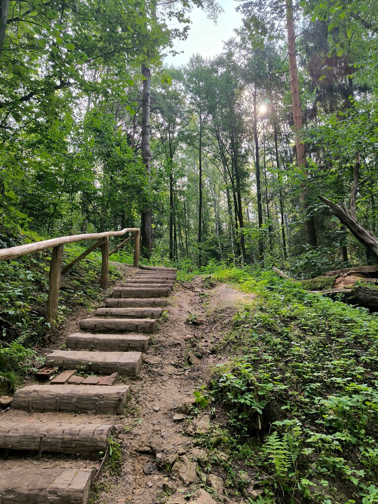 Pınar, çay Spring, stream, Vladimirskaya oblastı, foto