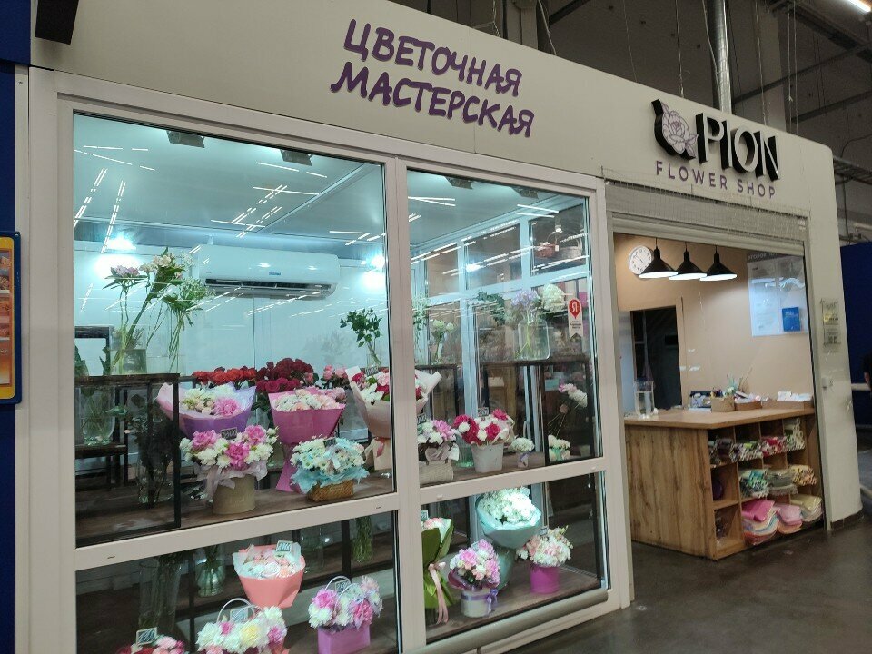 Çiçekçiler Pion, Cheboksary, foto