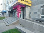 Flower Shop (Álıhan Bókeıhan kóshesi No:27/1), çiçekçiler  Astana'dan
