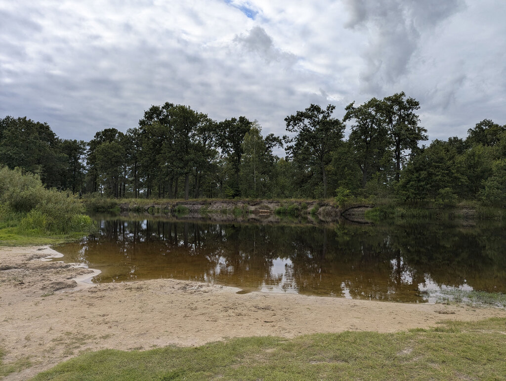 Plaj Пляж, Brianskaya oblastı, foto