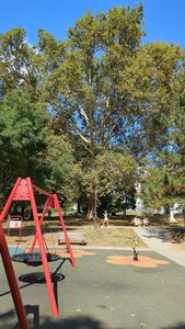 Manjež (Belgrade County, gradska opština Savski Venac, park Manjež), kültür ve eğlence parkları  Belgrad'dan